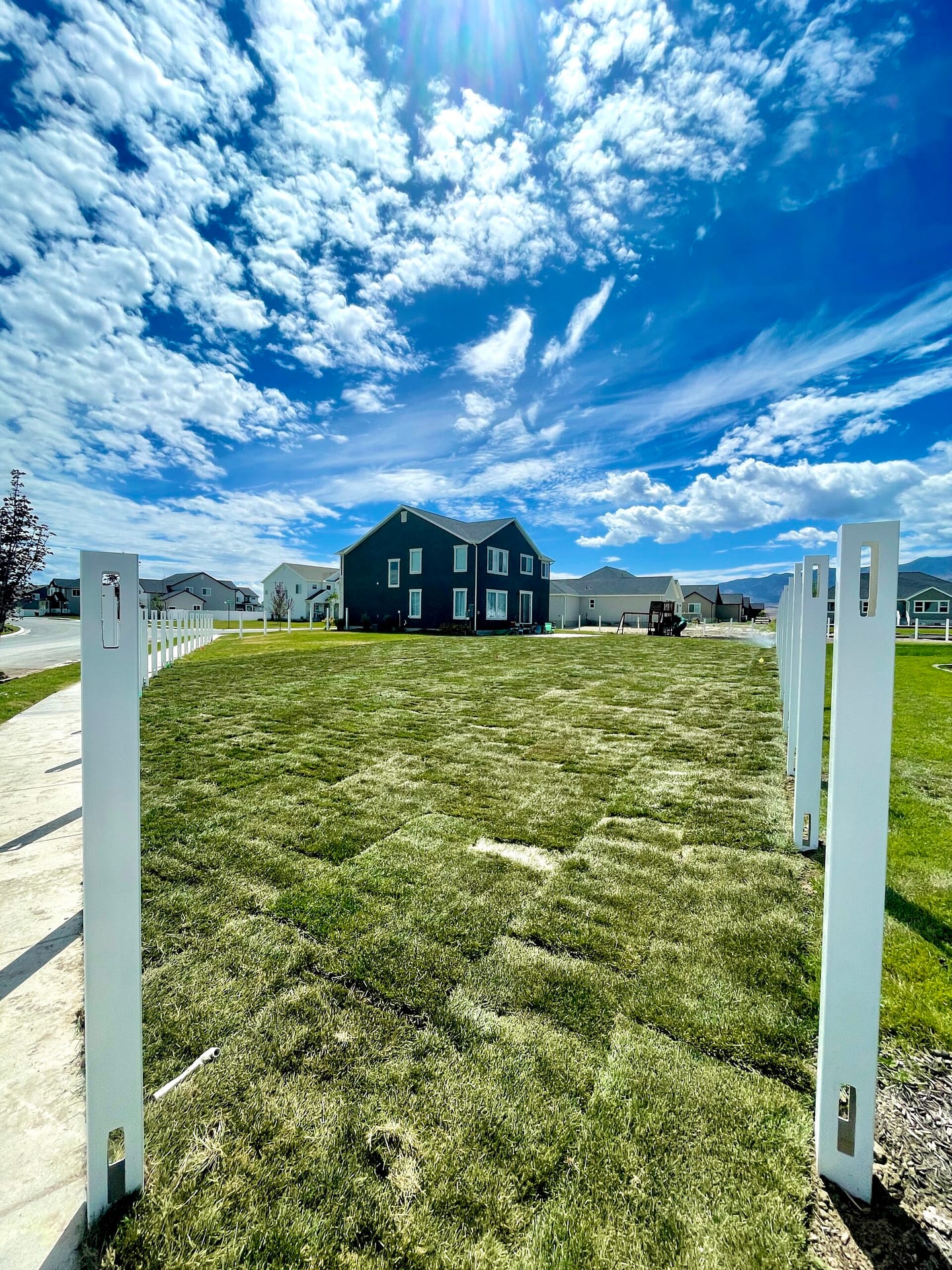 Sod vs Seed: Which is Better for Your New Utah Lawn? - Topsoil Delivery ...